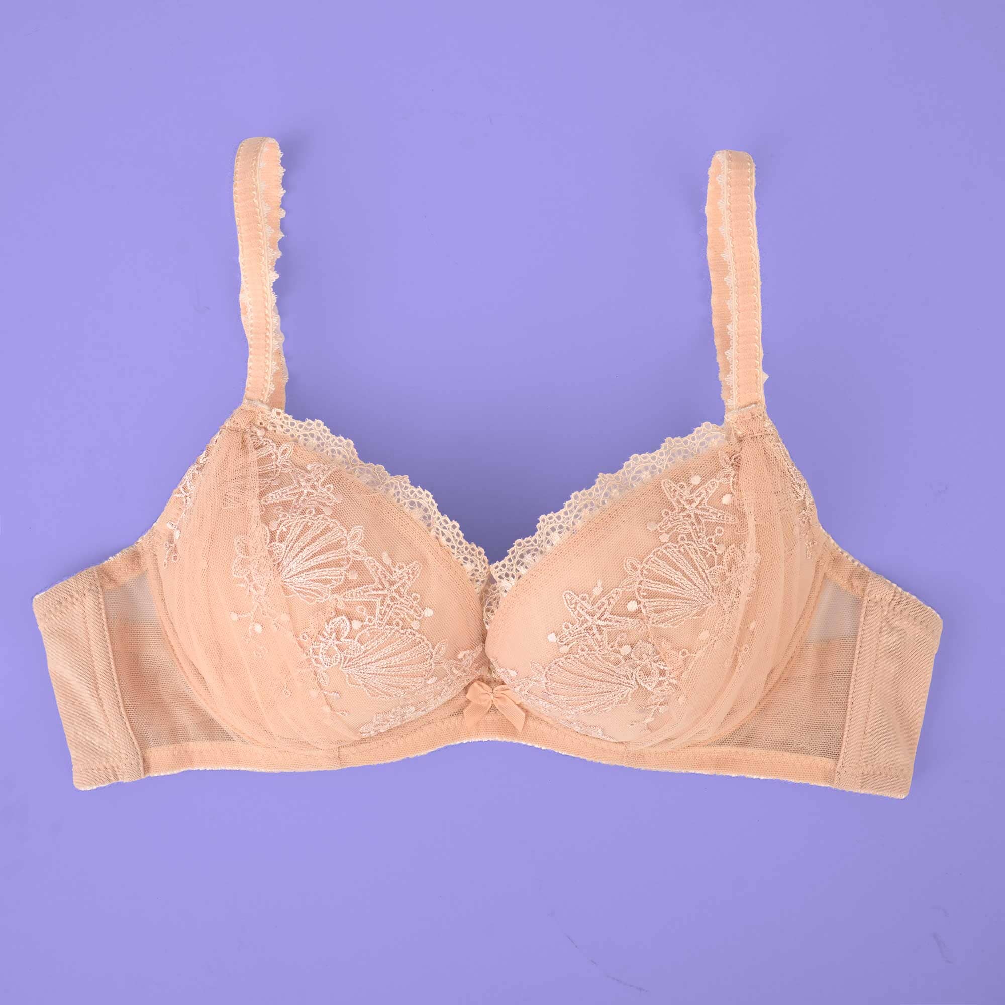 Envying Women's Embroidered & Wired Design Fancy Padded Bra – elo